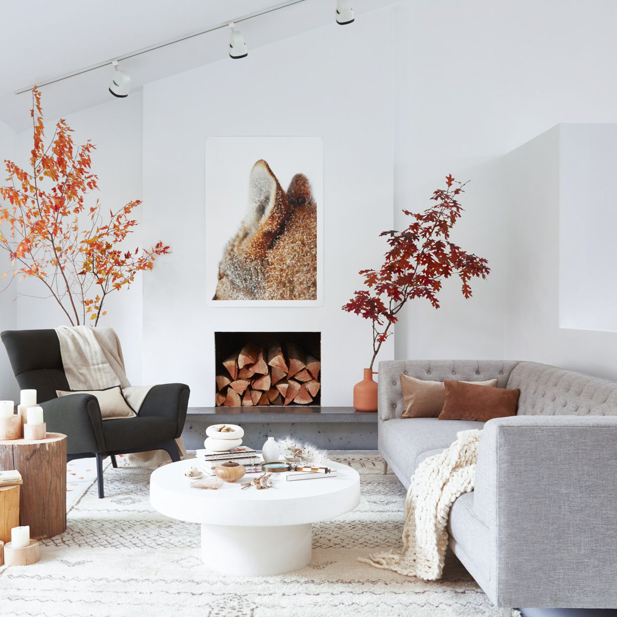 The Evolution of Lighting: Exploring Modern Light Shades - CCANDP